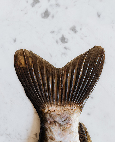 Slagerspassie: Magazines